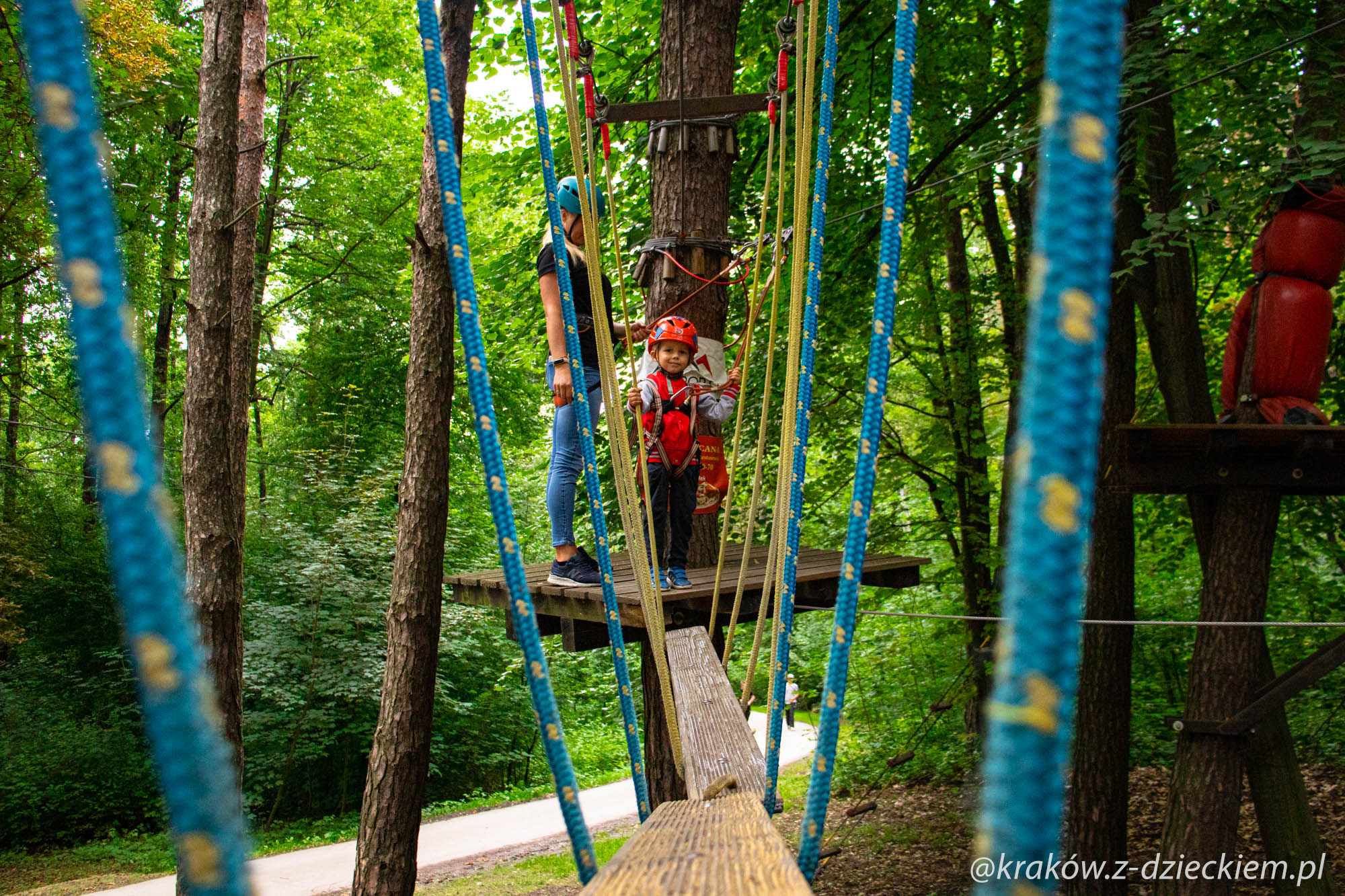 Park linowy Xtreme Park w Wieliczce - przygoda na wysokościach! Kraków ...