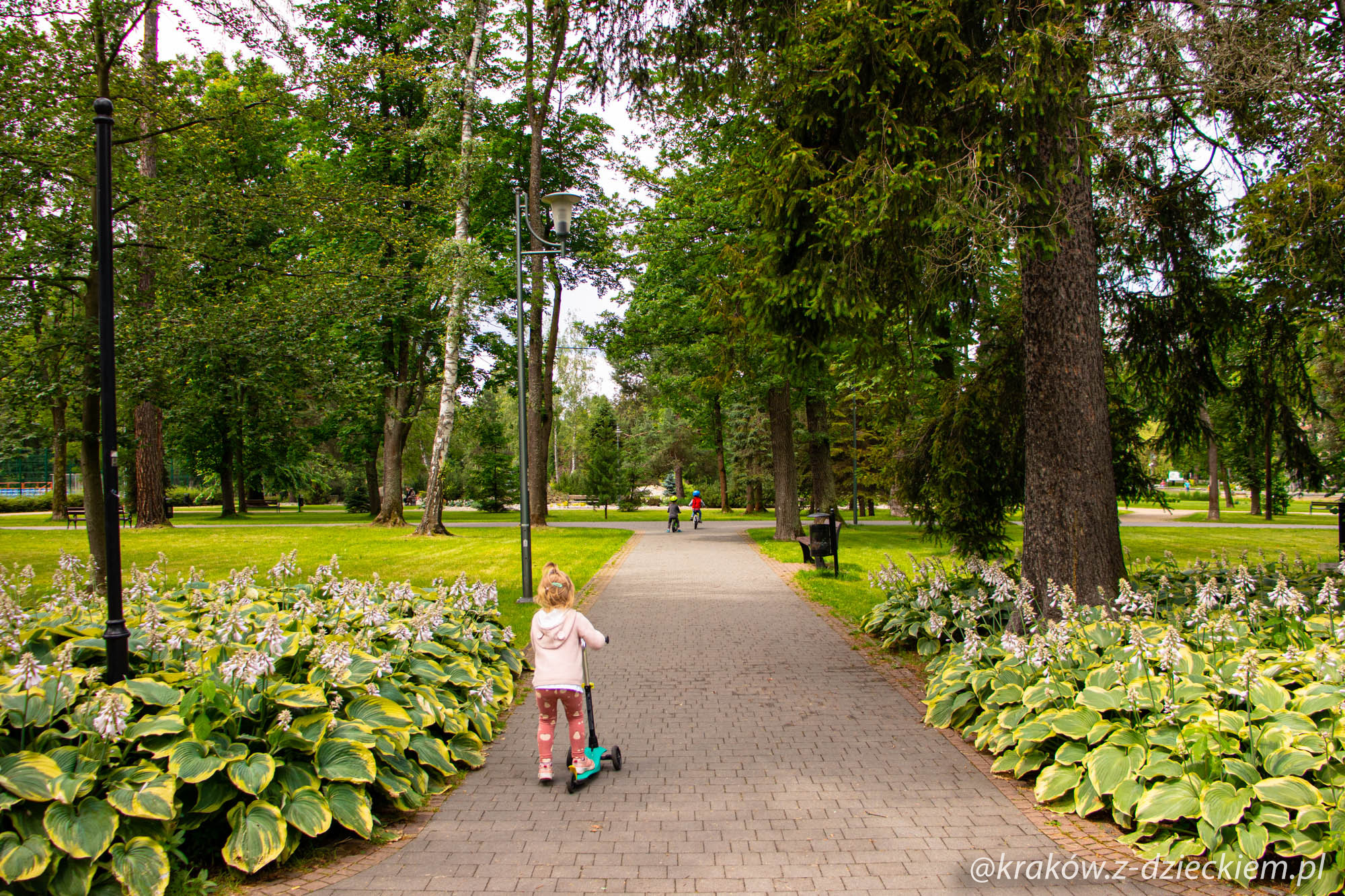 Rabka-Zdrój - oto dlaczego musisz tam pojechać! - Krakowskie Brzdące