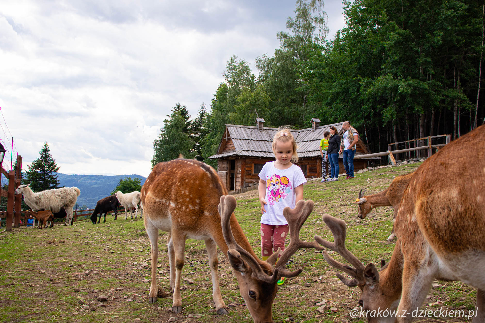 Beskidzki Raj - rajem dla dzieci i dorosłych - Krakowskie Brzdące