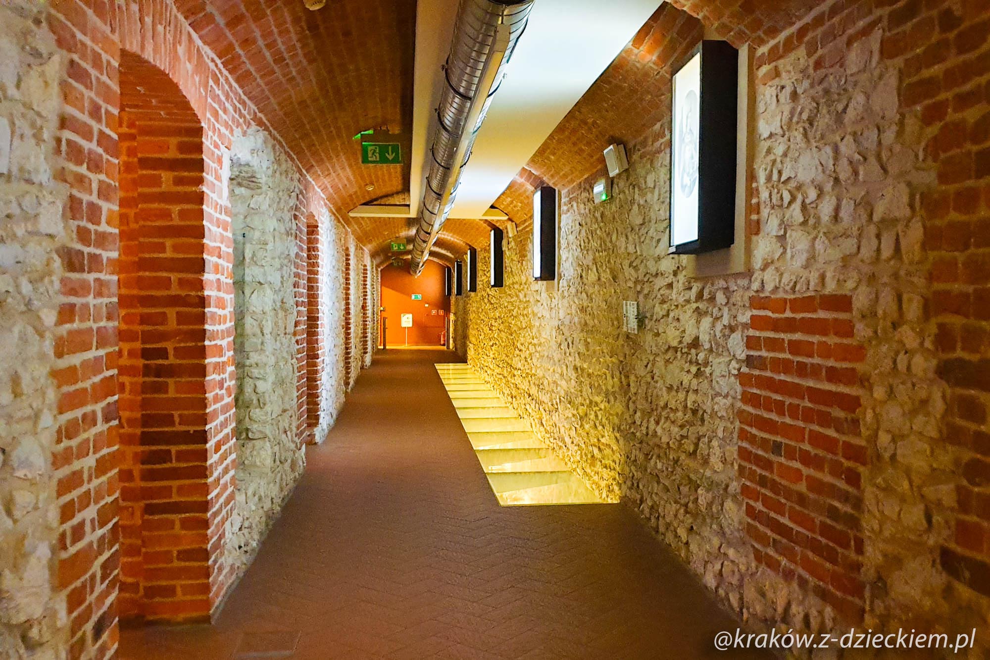 Podziemia Rynku w Krakowie z dzieckiem - Kraków z dzieckiem.pl