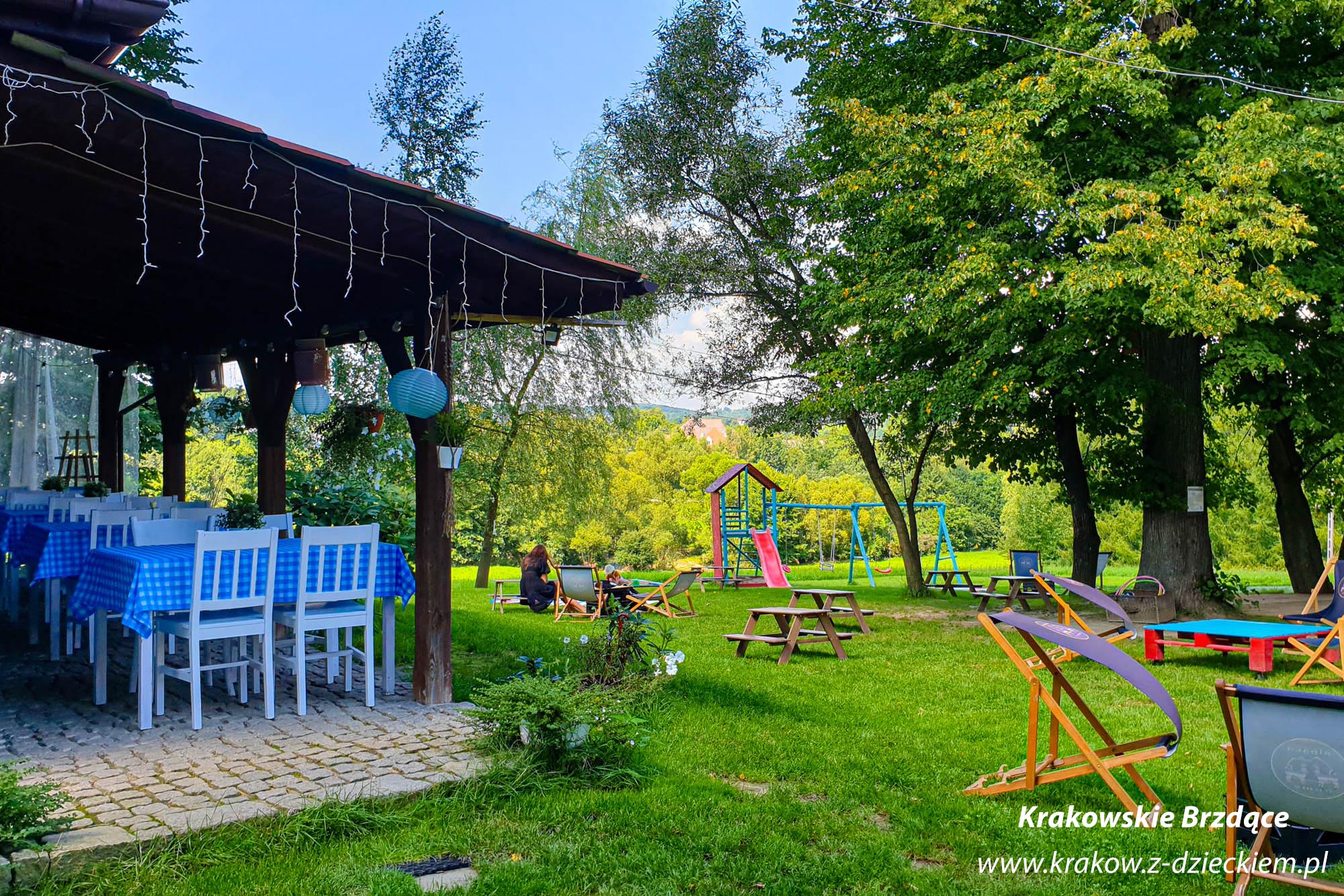 Alpaca Home - piękne alpaki i przyjemne miejsce do odpoczynku ...