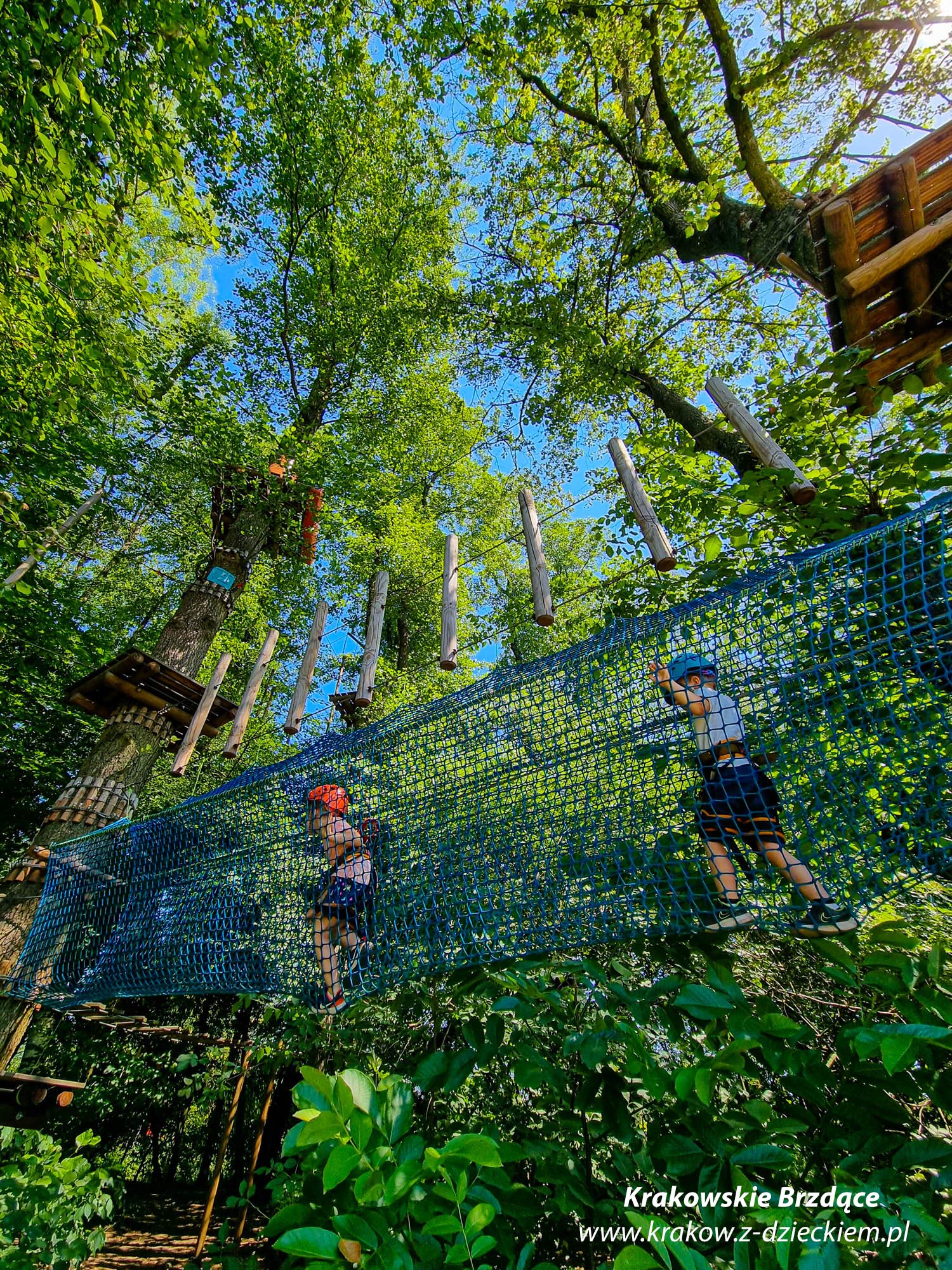 Krakowski Park Linowy z dzieckiem - Krakowskie Brzdące